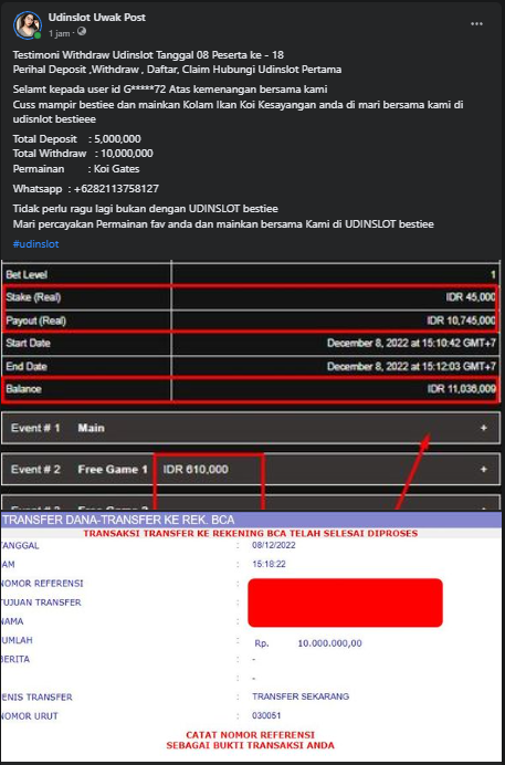 UDINSLOT - Shelly UDINSLOT - Medium