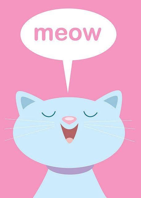 Understanding the Meow Language. Tips for Better Communication with ...