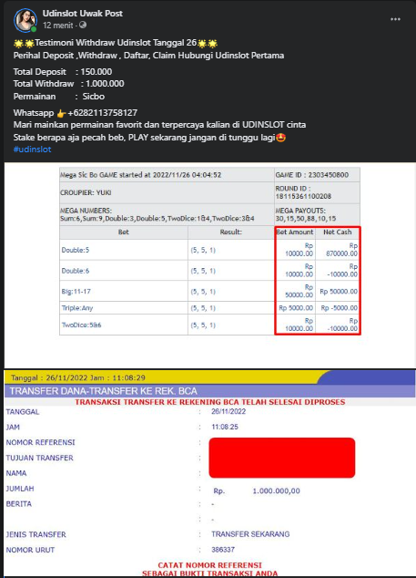 UDINSLOT - Shelly UDINSLOT - Medium