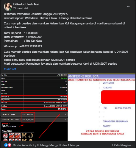 UDINSLOT - Shelly UDINSLOT - Medium