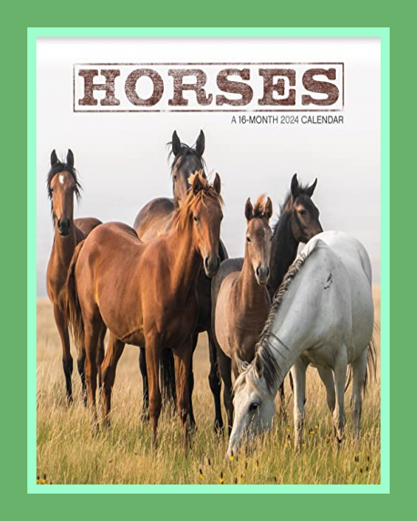 (Trends International) 2024 Horses Wall Calendar PDF Format | by Ms ...