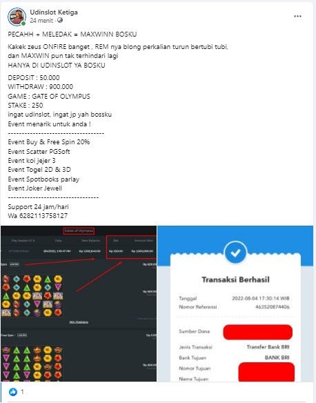 UDINSLOT - Shelly UDINSLOT - Medium