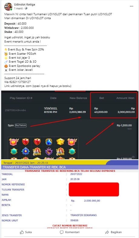 UDINSLOT - Shelly UDINSLOT - Medium
