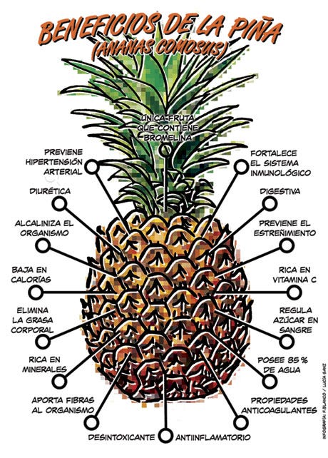 De suramérica al mundo entero. La piña (Ananas comosus), planta… | by ...