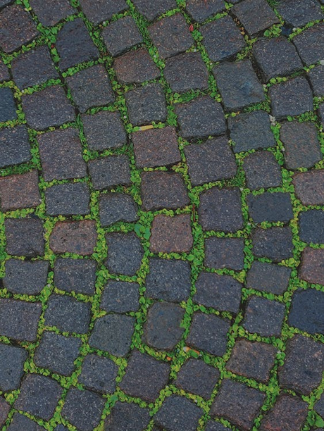 How to Stop Weed Growth Between Block Paving | by Local Gardeners | Medium