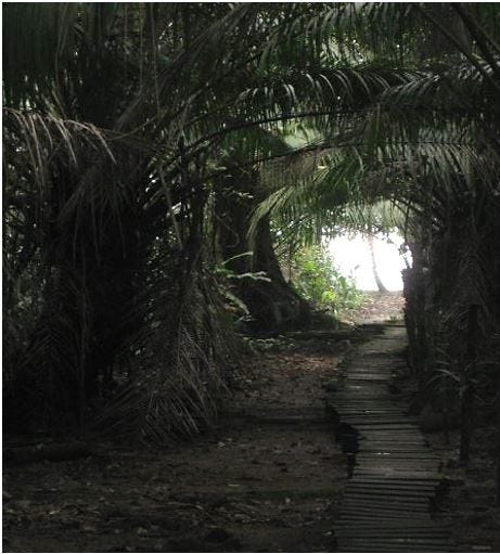 Alive. I was standing in the middle of a… | by Andee McDonald | Medium