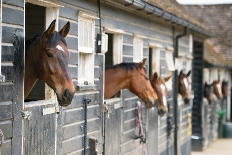 Unleash the Magic: Horse Riding Stables with Riding Ancient Rome | by ...