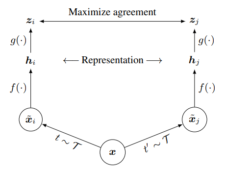 SimCLR Review. SimCLR is a kind of Contrastive… | by Amirmahdi ...