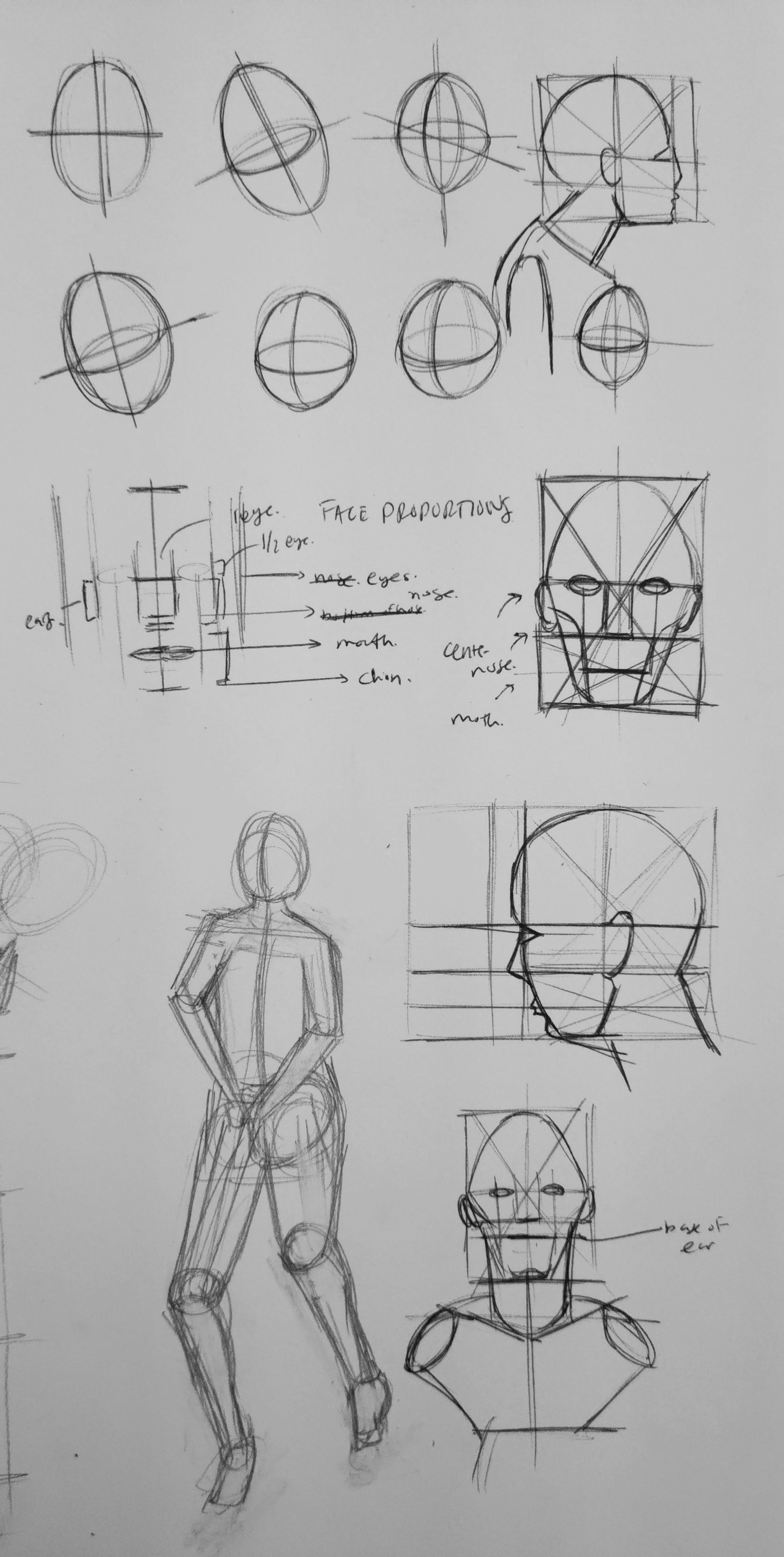 How To Draw A Human Body And Face