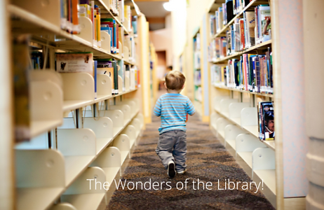 Rediscover The Wonders of Your Local Library | by Katie Zakkak | Medium