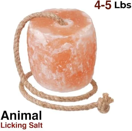 Harnessing the Healing Power: Wellness Benefits of Salt Blocks for ...