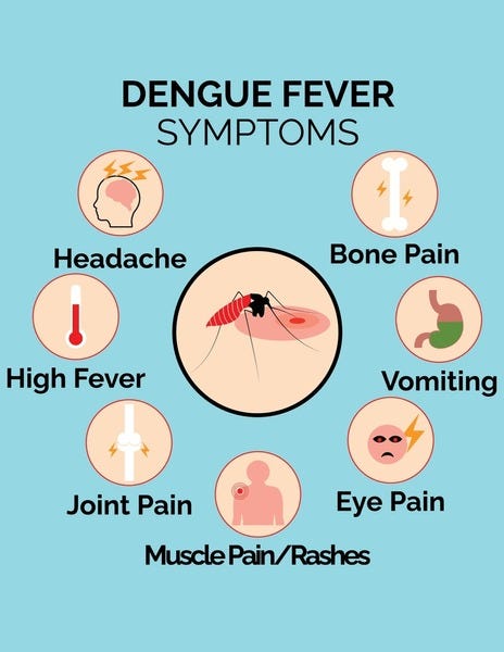 Dengue:. Dengue | by Abeeha Khattak | Medium