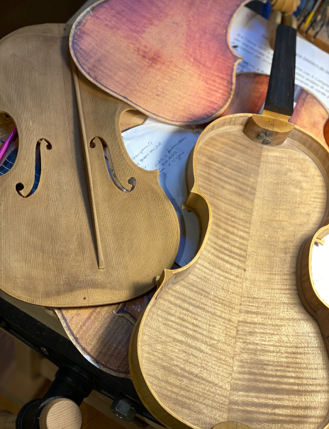 Soundpost and Bass bar Function - Miocannone - Medium