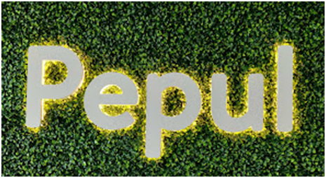 Inspiring Story of Pepul — A tech company that hires people without a ...