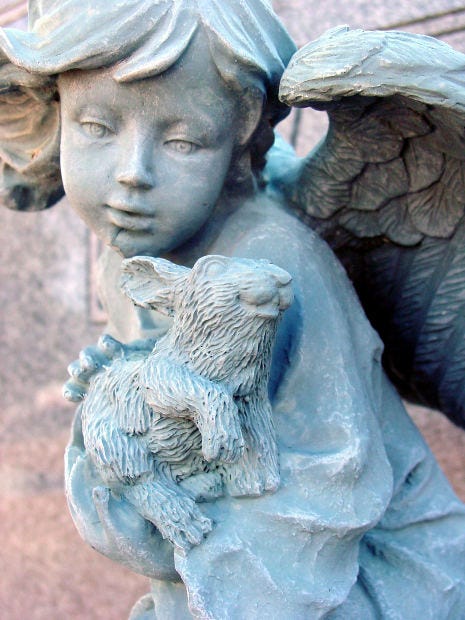 Jupiter Fell. (angel hearts down) | by Fox Kerry | Tiny Myths | Medium