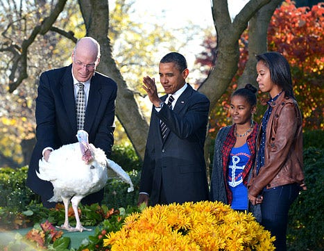Dealing with Loss and Grief During this Thanksgiving Holiday? Be kind ...