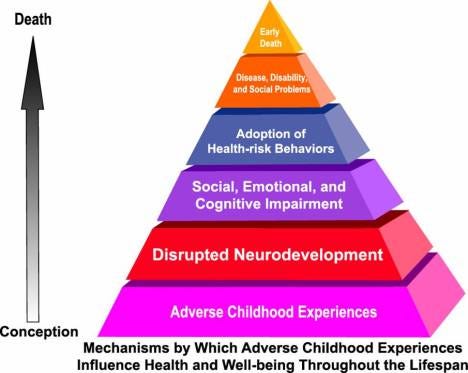 The Multiple Pathways to Addiction and Recovery | by Steve K | Medium