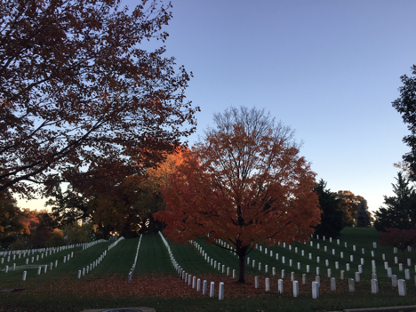 War And Gold. The gold standard always is an early… | by Ralph Benko ...