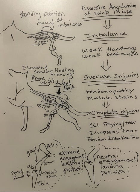 Prancing Heeling and the Age of Amazing Trainers | by Athena Kepler ...