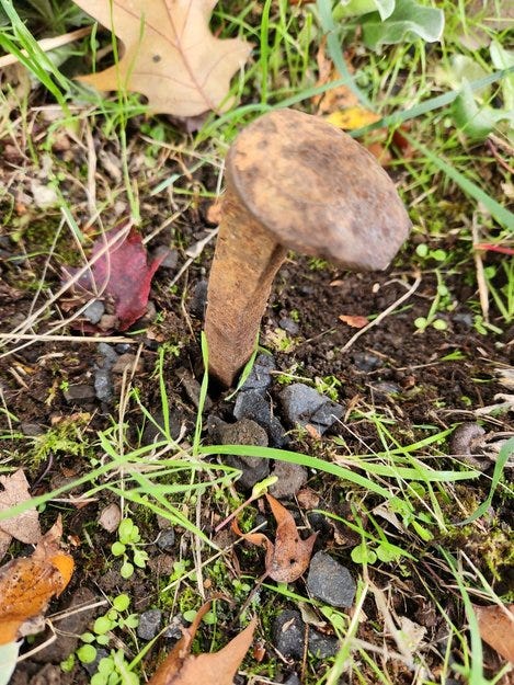 Home Warding. This morning I warded my property with… | by S. E. Wigget ...