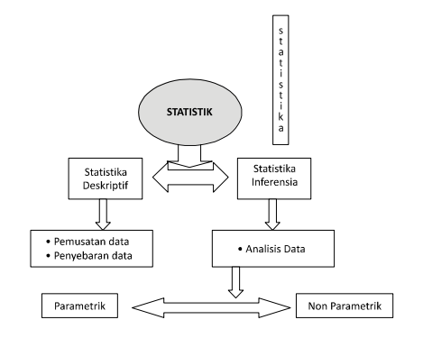Pengenalan Statistika. (Part I) Pengertian Statistika | by Aliffiara ...