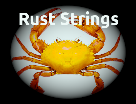 Rust: How are Strings stored in memory? | by shiguera | Rustaceans | Medium