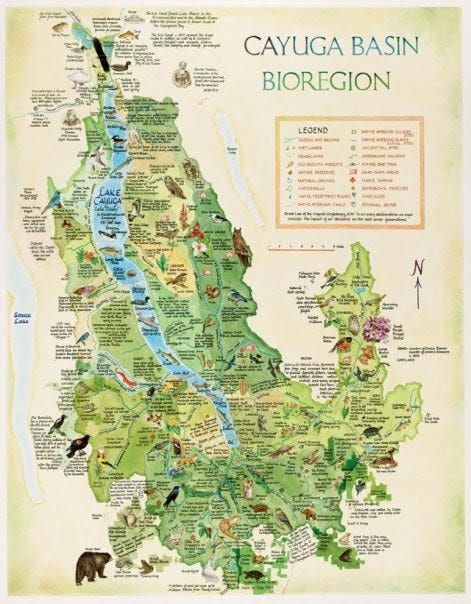 What is Bioregional Mapping? | by Brandon Letsinger | Medium