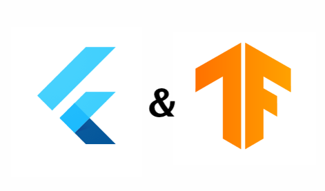 Running TF-Lite Models with Flutter | by Bilal Kashif | Medium