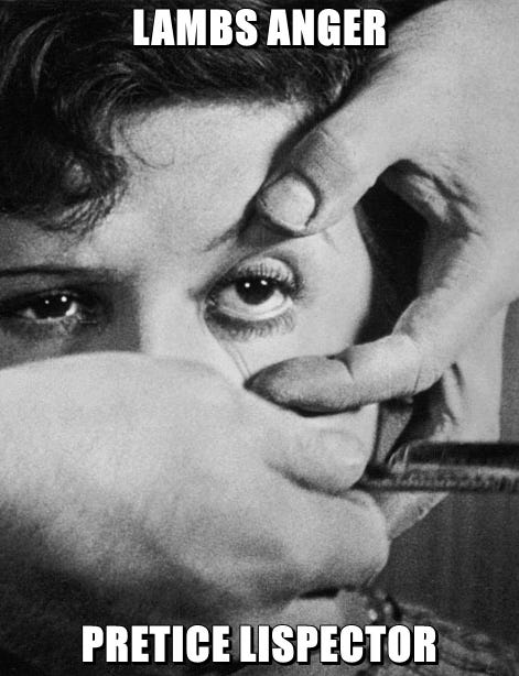 LAMBS ANGER. Abri o twitter e dei de cara com você e… | by Pretice ...