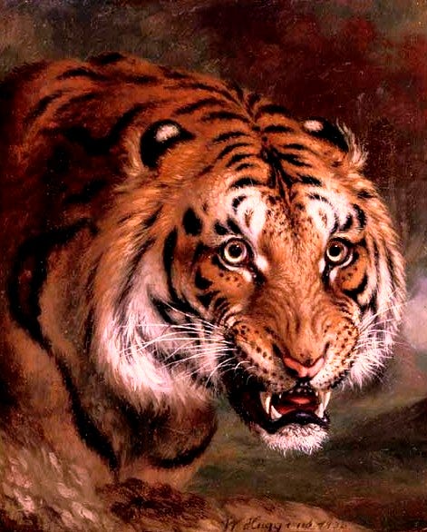 The Breath of a Bengal Tiger. The Breath of a Bengal Tiger | by Terry ...