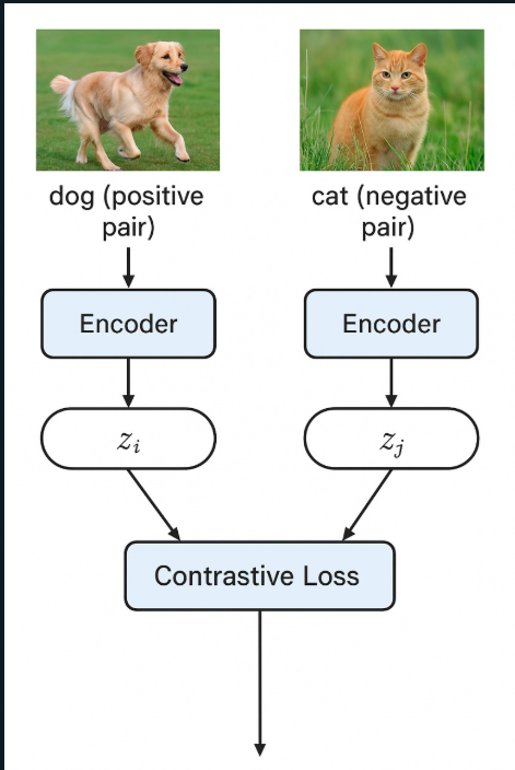 Self Supervised Learning Ssl For Data Mining A Comprehensive Guide