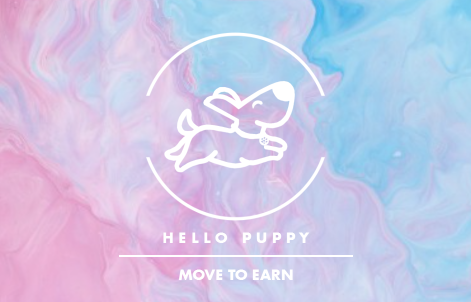member join : WWW.HELLO-PUPPY.CO.KR homepage: WWW.HELLO-PET.CO.KR ...