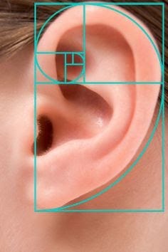 Fibonacci Spiral In Humans