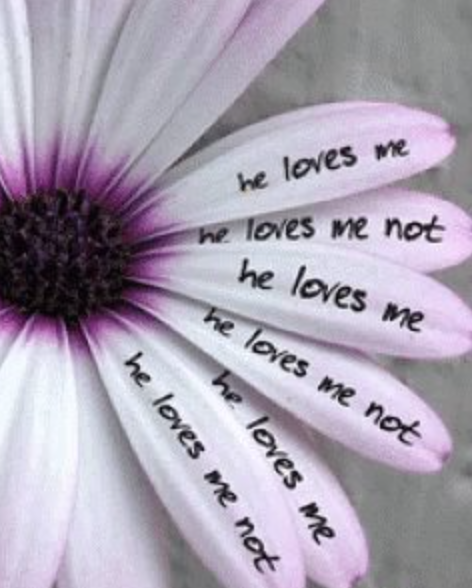 He loves me. He loves me not.. Well, this meme just about sums up a ...