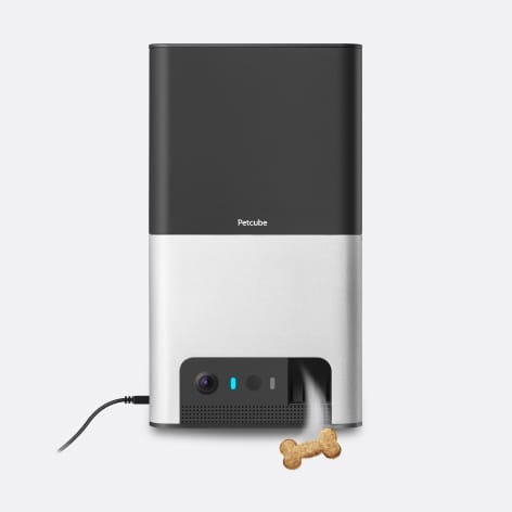 Pets, Camera, Action! Petcube’s Bites 2 VS Bites 2 Lite | by Heidi ...
