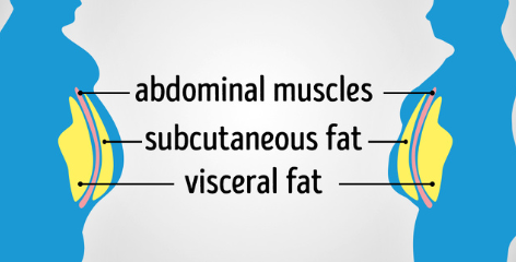 Fat freezing does it work. One of the most common problem… | by Djaweb ...