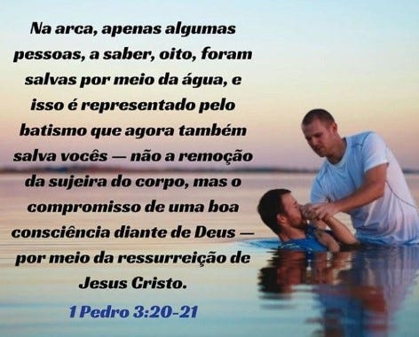 A solicitação de uma boa consciência a Deus (1 Pedro 3:21,22) | by ...