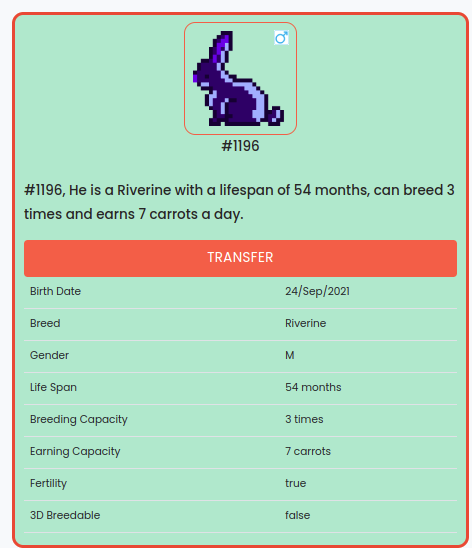 $Carrot Update. Dear ICPBunny Familia, | by ICPBunny | Medium