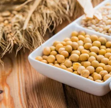 Do you know the five benefits of soy fiber? | by Mtylermillerkaihua ...