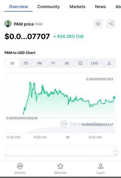 $PAM TOKEN - Ogechukwu Ezeilo - Medium