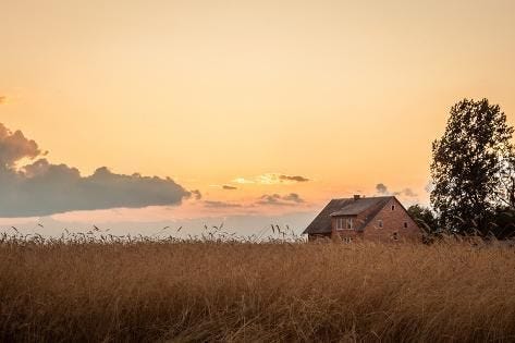 do as you please. In a song lyric: “Do whatever you want… | by ...