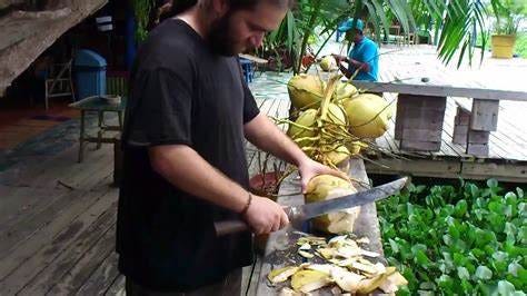 What to Expect from a Coconut Jungle & Cooking Class Tour? | by Coconut ...