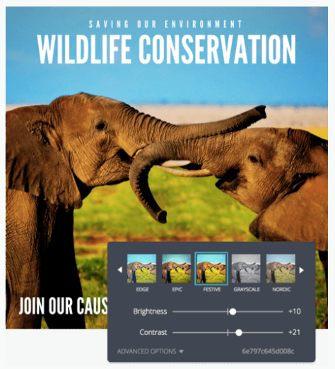 3 Tools to Take Your Nonprofit’s Visual Storytelling to the Next Level ...