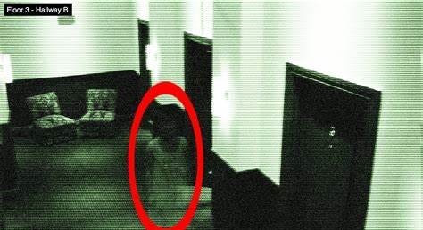 The Hotel of Death: The Tragedies of The Cecil | by Eve S Evans | Dark ...