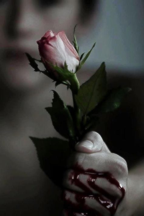 Throned Rose. Dedicated to all the strong women –… | by R Raza | Medium