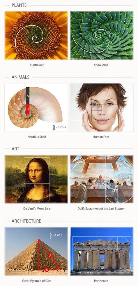 What Is Golden Ratio? & How Does It Help In UI/UX Design? | by Ridhi ...