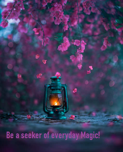 “Is Consistency the Secret Magic of Everyday Life?” | by Jassila ...