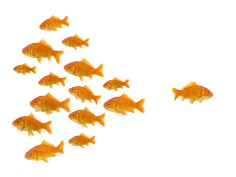 Unblock your uniqueness or be a low-cost competitor | by Arnold Beekes | Medium