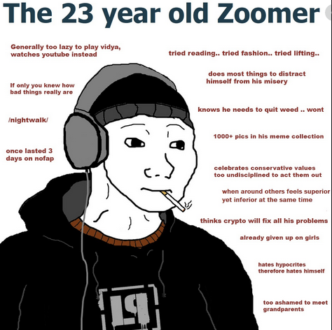 A Zoomer’s Guide to Fixing the World | by Mason Hurlocker | Medium