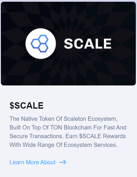 Scaleton Ecosystem. Scaleton Ecosystem develops blockchain… | by Crypto ...